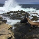 Full Day Private SD Tour from Leucadia - Stepping Back in Time at Old Town San Diego