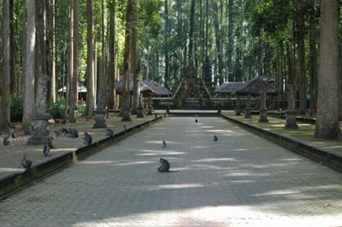 Full-Day Private Tabanan Tour in Bali - Stop 6: Penatahan Hot Springs