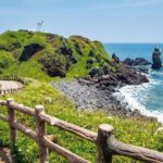 Full-Day Private Tour in Jeju Scenic East Coast - Transportation and Practical Considerations