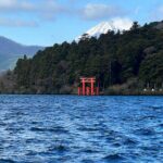 Full Day Private Tour in Mount Fuji and Hakone - Who Would Love This Tour?