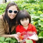 Full Day Private Tour in Nami Island - A Closer Look at What the Tour Offers