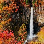 Full Day Private Tour in Nikko - Itinerary Breakdown: What to Expect