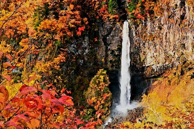 Full Day Private Tour in Nikko - Itinerary Breakdown: What to Expect