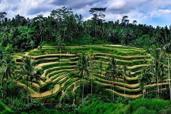 Full Day Private Tour in Ubud Indonesia - Tegalalang Rice Terrace: Iconic Bali Views