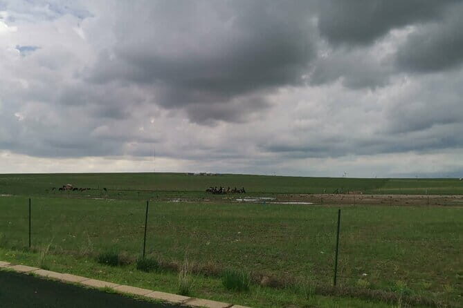 Full-Day Private Tour in Xilamuren Grassland with Lunch - The Practicalities