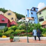 [ Full Day Private Tour ] Nami Island and Petite France - Exploring the Itinerary in Detail