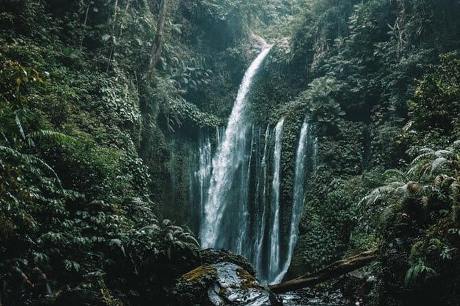 Full-Day Private Tour of Lombok Waterfalls with Japanese Guide - Reviews and Authentic Perspectives