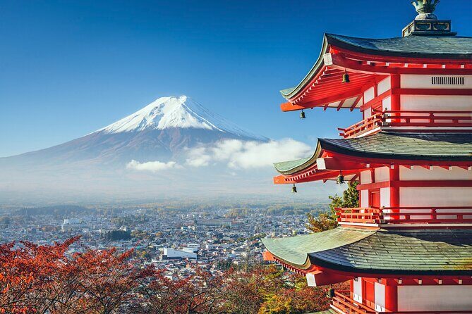 Full Day Private Tour of Mt Fuji and Hakone - What to Expect and Practical Tips