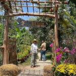 Full Day Private tour Phu Quoc North and South Island - Authentic Experiences and Highlights