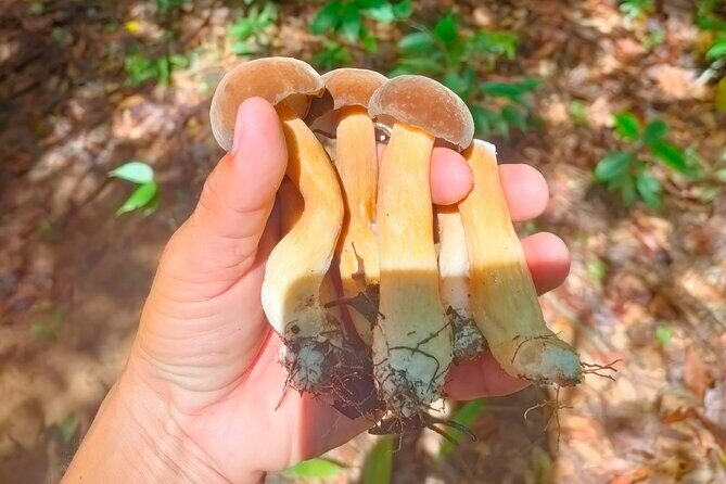 Full Day Private Tour Sightseeing to Phu Quoc with Licensed Guide - FAQ