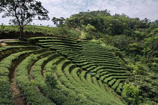 Full-Day Private Tour Taipei Tamsui-Kavalan and Shiding Old Street - Exploring Shiding: A Hidden Mountain Gem