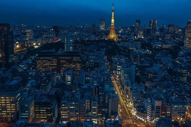 Full-Day Private Tour to Discover The Best of Tokyo - Who is This Tour Best For?