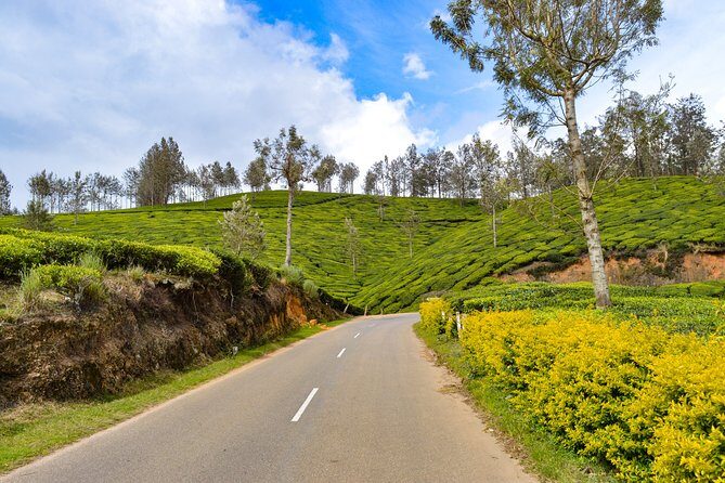 Full-Day Private Tour to Munnar from Kochi with Lunch - Why choose this tour?