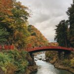 Full Day Private Tour to Nikko with English Speaking Driver - Authentic Experience and Practical Considerations