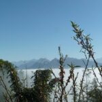 Full Day Private Trekking in Sapa Hmong - Transportation and Practicalities