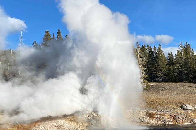 Full Day Private Wildlife/Geyser Tour from West Yellowstone - Itinerary Breakdown: What You’ll See and Experience