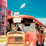 Full Day Ramoji Film City Tour with Lunch and Transfers - A Well-Rounded Experience with Practical Benefits