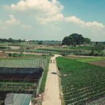 Full-Day Red River Bike Tour from Hanoi with Lunch and Pickup - Practical Tips for Participants