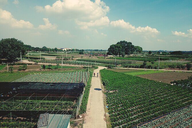 Full-Day Red River Bike Tour from Hanoi with Lunch and Pickup - Practical Tips for Participants
