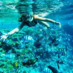Full-Day Reef Snorkeling in Cozumel from Cancun with Lunch - Highlights and Possible Drawbacks