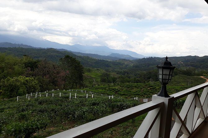 Full Day Sabah Tea Plantation & WWII Memorial - The Practicalities: What Travelers Need to Know
