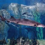 Full-Day Shanghai Aquarium Xintiandi and Jingan Private Tour - An In-Depth Look at the Itinerary
