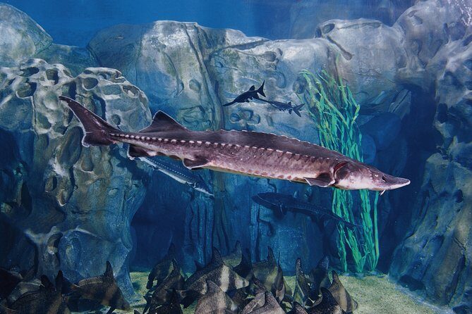 Full-Day Shanghai Aquarium Xintiandi and Jingan Private Tour - An In-Depth Look at the Itinerary