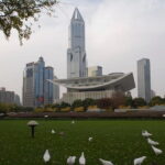 Full-Day Shanghai Guided Private Sightseeing Tour with Lunch - Final Thoughts
