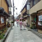 Full-Day Sightseeing to Kyoto Highlights - Drawbacks and Considerations