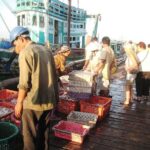 Full-Day Sihanoukville Shore Excursion - Transportation and Practical Details