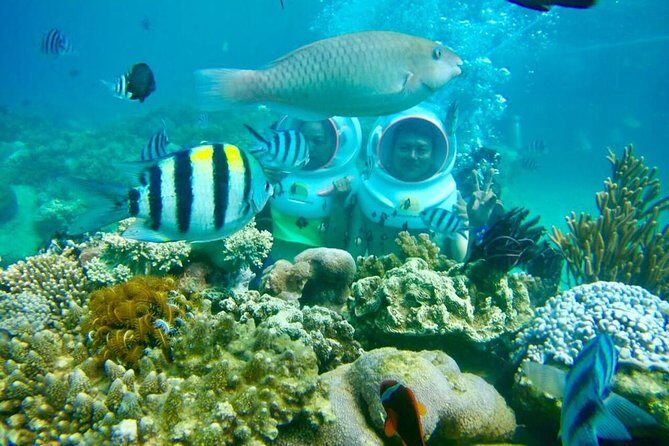 Full-Day Speedboat Guided Tour With Sea Walking Included Lunch And Entrance Fees - Transport, Timing, & Practical Details