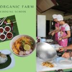 Full Day Thai Cooking at Farm (Chiang Mai) - A Closer Look at the Itinerary