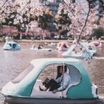 Full day Tokyo private experience with English Speaking Driver - What You Can Expect from the Itinerary