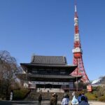 Full Day Tokyo Tour, From/To Tokyo,Yokohama, Narita, 2- 12 guests - Who Would Love This Tour