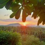 Full Day tour .City tour.Countryside.Bamboo Train.Secret Bat Cave - Why Travelers Love This Tour (Based on Reviews)