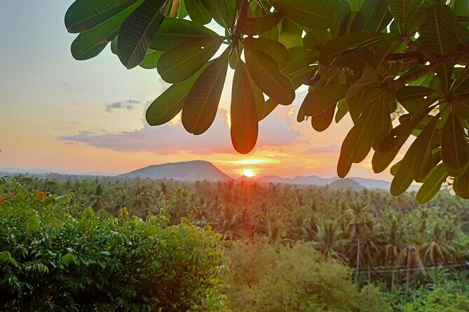 Full Day tour .City tour.Countryside.Bamboo Train.Secret Bat Cave - Why Travelers Love This Tour (Based on Reviews)