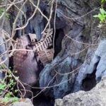 Full Day Tour from Siem Reap - Bamboo Train, Killing Cave & Sunset - The Bamboo Train: A Quick Ride, Big Smile