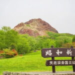 Full Day Tour in Hokkaido and Lake Toya from Sapporo - Transportation & Group Dynamics