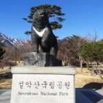 Full-Day Tour in Mt. Seorak & Nami (+Rail Bike Option) - Who Will Love This Tour?