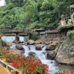 Full Day Tour in Sapa Trekking with Local guide - A Detailed Look at the Tour Itinerary