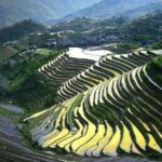 Full-day Tour: Longji Rice Terraces & Minority Villages - What Makes This Tour Stand Out?