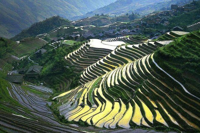 Full-day Tour: Longji Rice Terraces & Minority Villages - What Makes This Tour Stand Out?