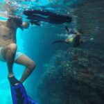 Full-Day Tour Nature Experience at Isla Espiritu Santo! Sea Lions - Experience Highlights and Traveler Perspective