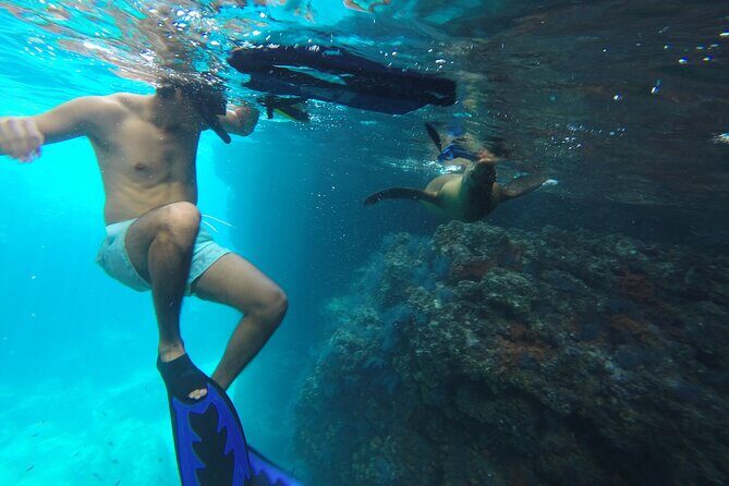 Full-Day Tour Nature Experience at Isla Espiritu Santo! Sea Lions - Experience Highlights and Traveler Perspective