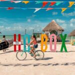 Full Day Tour of Isla Holbox and Isla Pasión with Cenote - Weighing the Value