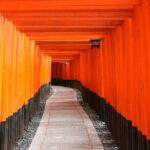 Full Day Tour of Kyoto with Private Transportation - What to Expect on the Day