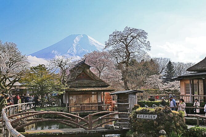 Full Day Tour of Mount Fuji and Hakone from Tokyo - Why This Tour Stands Out