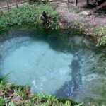 Full-Day Tour of Preah Ang Thom and Phnom Kulen Waterfall - Authenticity and Value