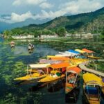 Full day tour of Srinagar with Entrance Fee, Guide & Lunch - Mughal Gardens – An Enchanting Terrace of Fountains and Flowers