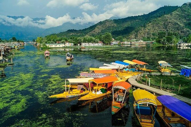 Full day tour of Srinagar with Entrance Fee, Guide & Lunch - Mughal Gardens – An Enchanting Terrace of Fountains and Flowers